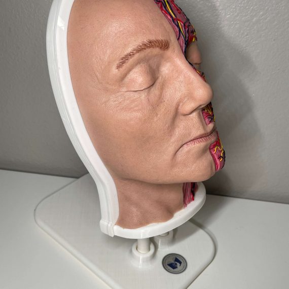 Injection Mannequin | R3 Medical Training